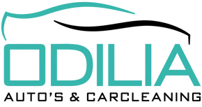 Home | Odilia Auto's in BOEKEL